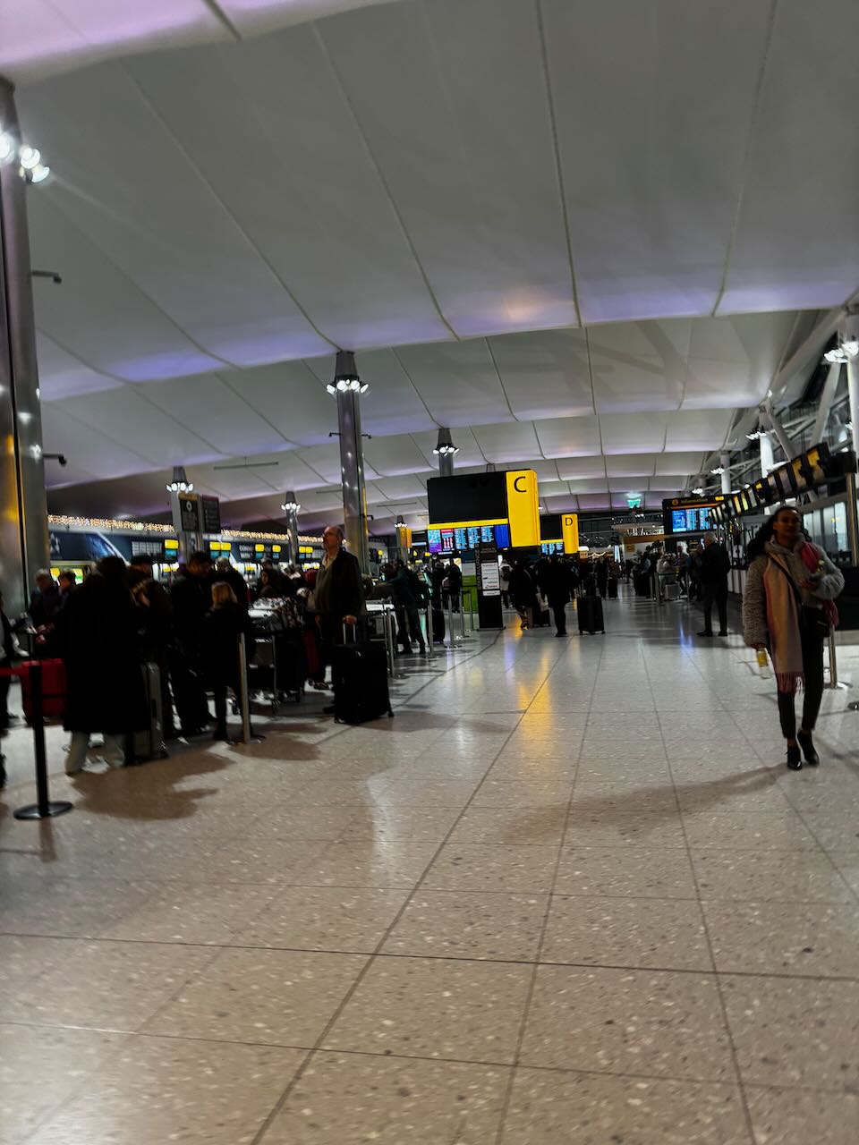 [Airline Review] – EgyptAir A330-300 (MS780) – Business Class, LHR ...